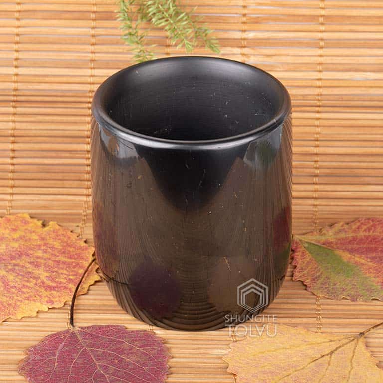 Shungite Store Tolvu - Authentic EMF Protection Russian Stone