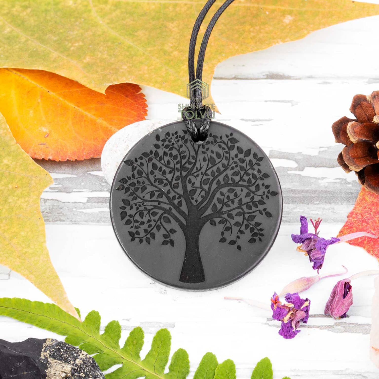 Shungite pendant Tree of life | Guarantee of authenticity Tolvu